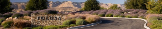2010 Tolosa Winery Pinot Noir Estate Tolosa Vineyards | Cliff's Wine Picks